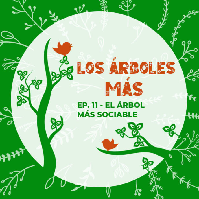Historias Enramadas Episodios – Micrositios temáticos