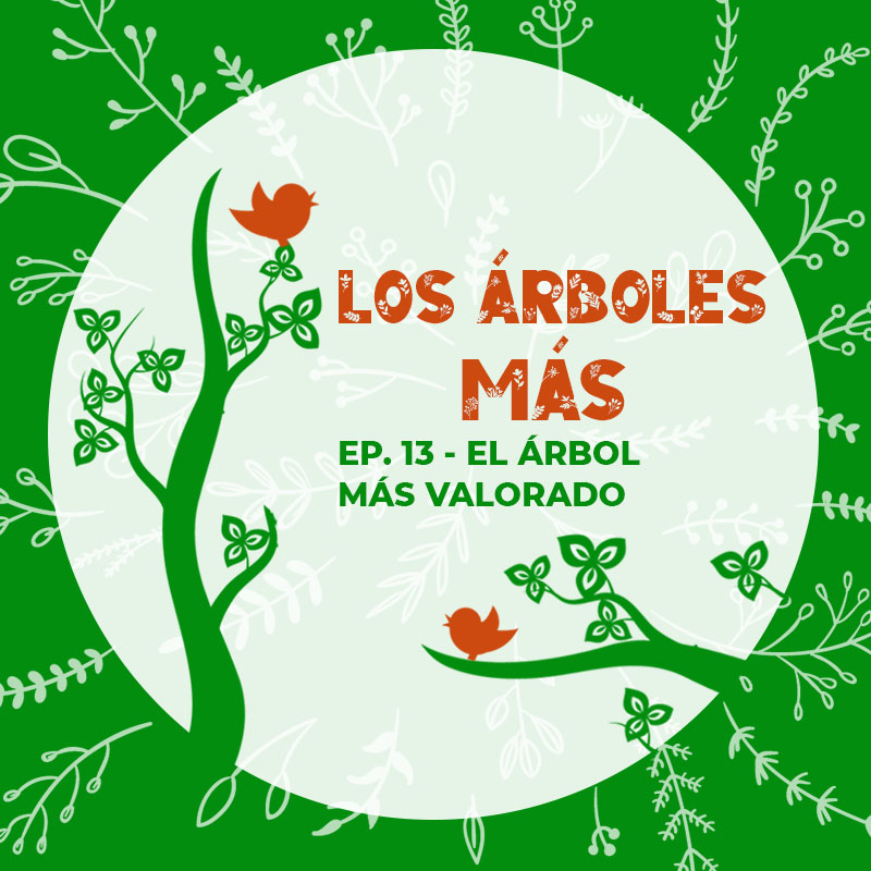 El árbol más valorado – Micrositios temáticos