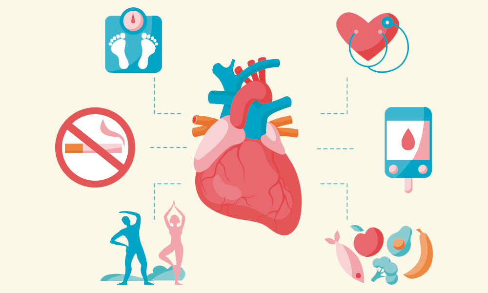 Enfermedades Cardiovasculares – Producciones IMER