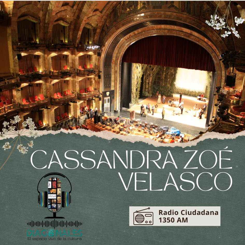 Estudios de Opera en Bellas Artes – Producciones IMER