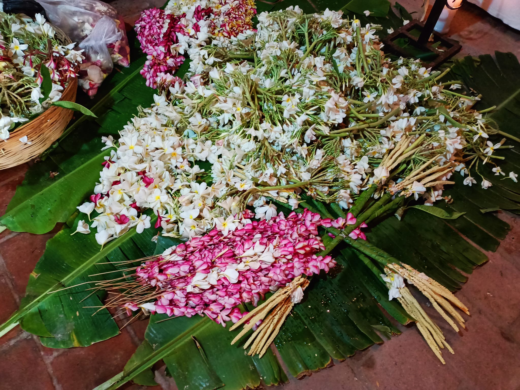 Chamales, una tradición tejida en flor – Radio Lagarto