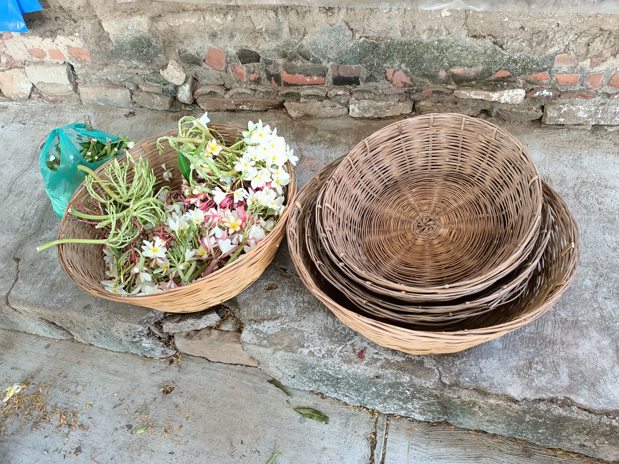 Chamales, una tradición tejida en flor – Radio Lagarto