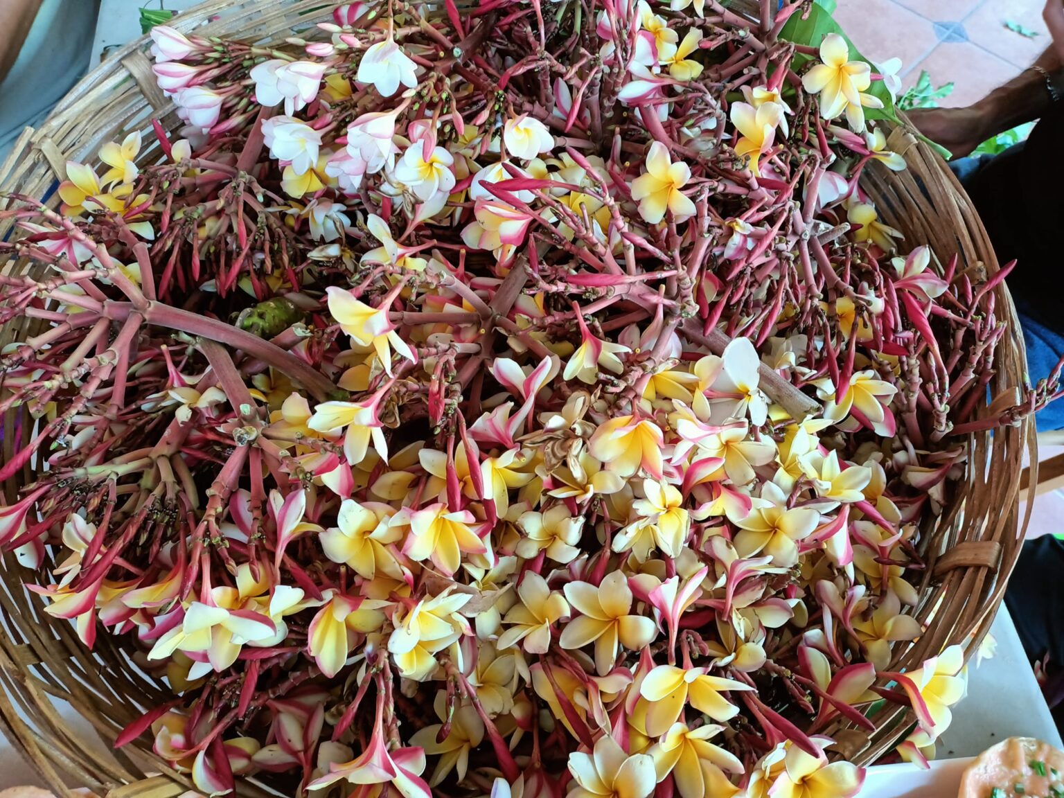 Chamales, una tradición tejida en flor – Radio Lagarto