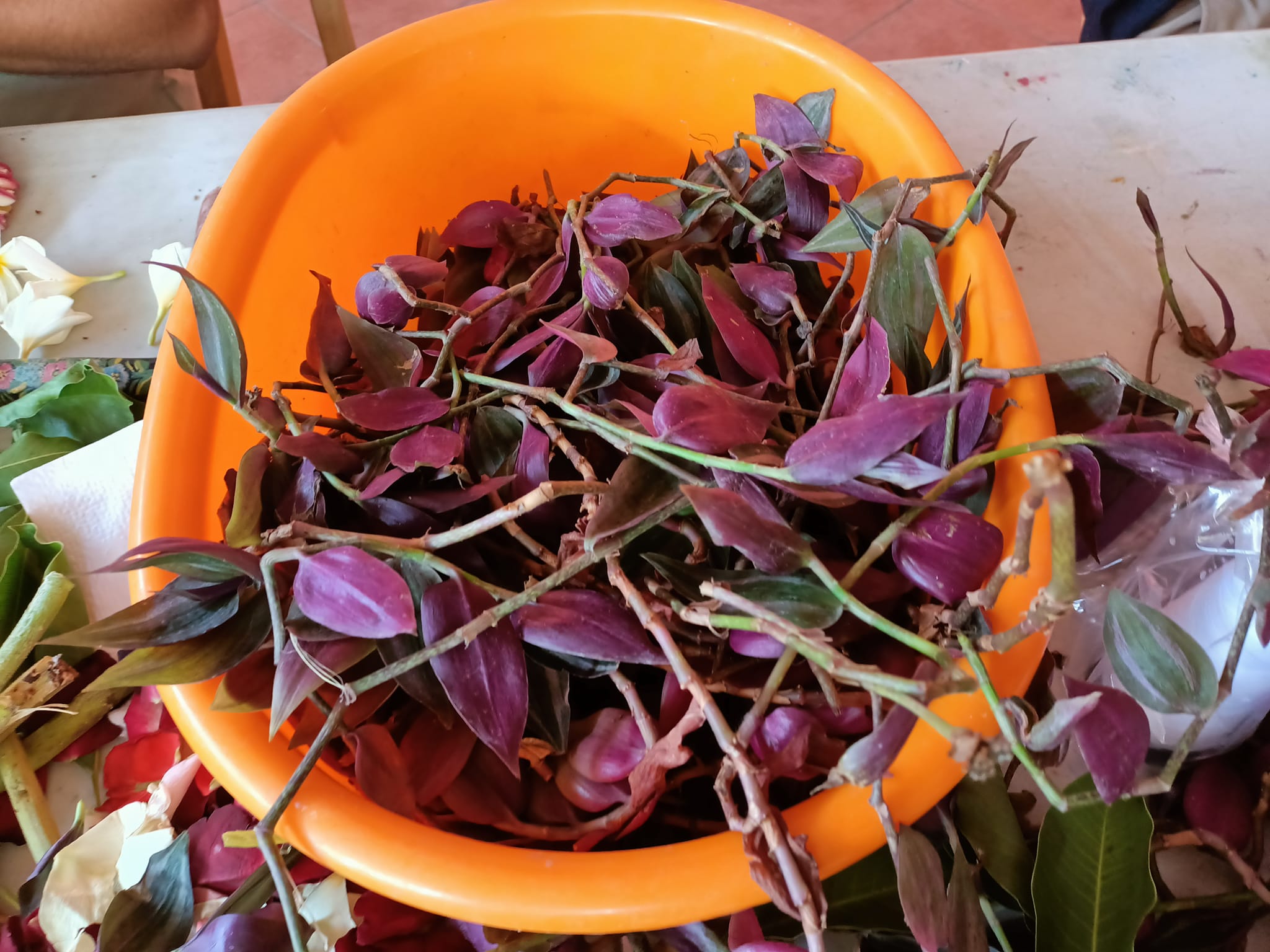 Chamales, una tradición tejida en flor – Radio Lagarto