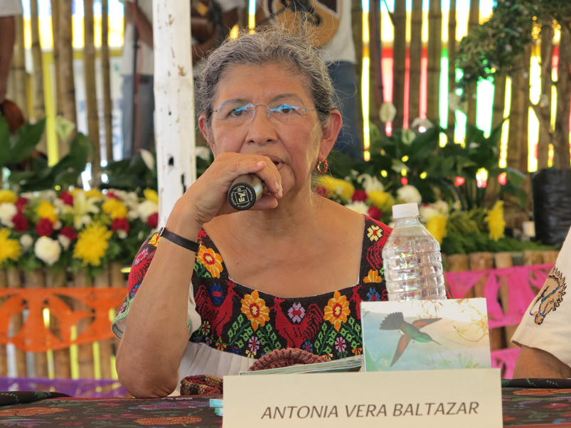 El canto del colibrí en Tepetzintla, Veracruz – Radio México Internacional