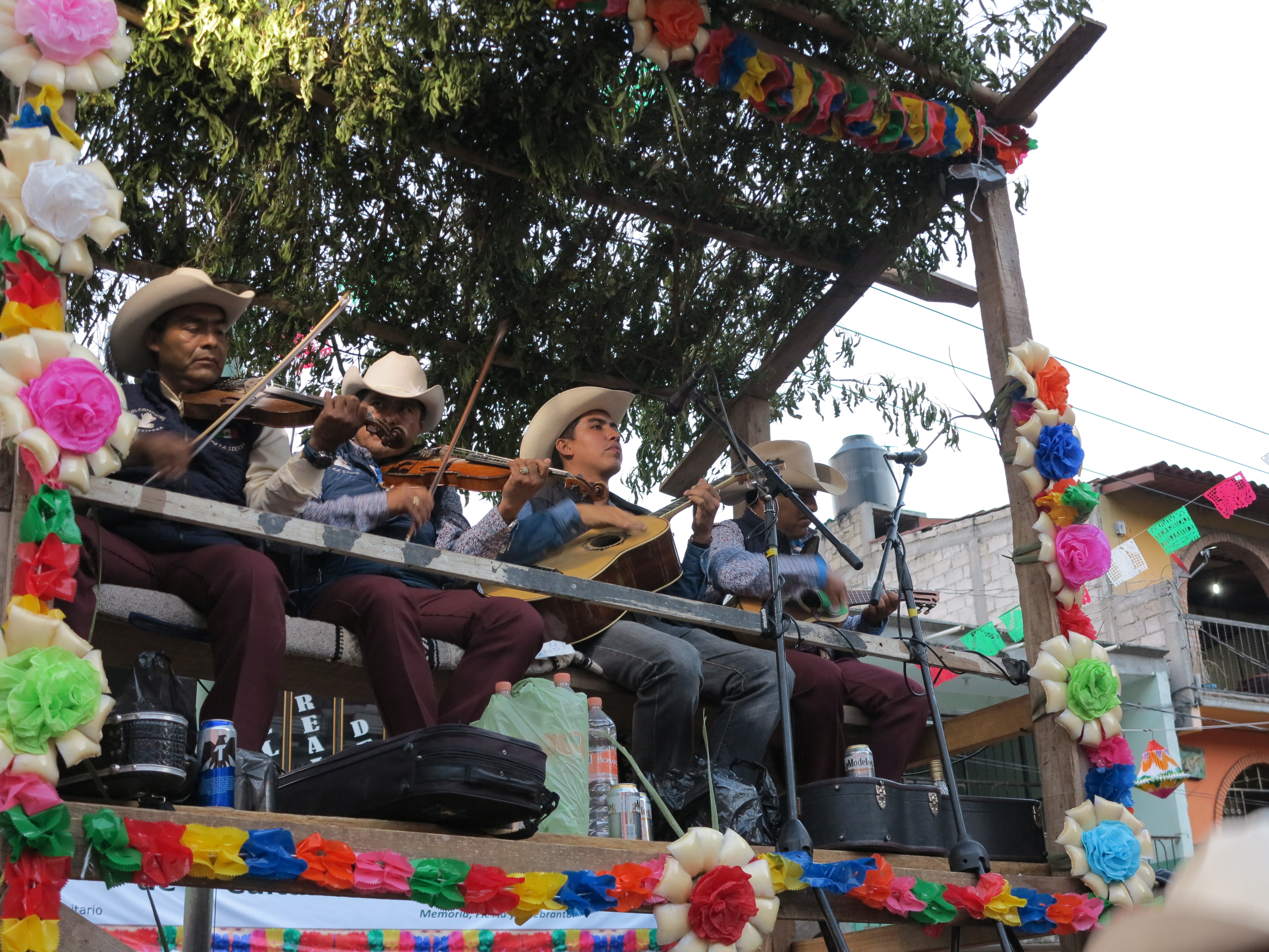 El tesón del huapanguero arribeño – Radio México Internacional